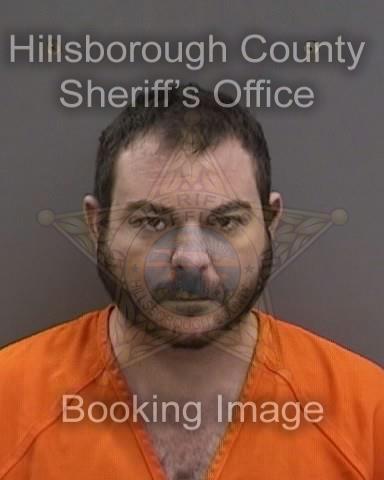 MICHAEL LEONARD DEANGELO Records As Released In And Around Tampa Florida