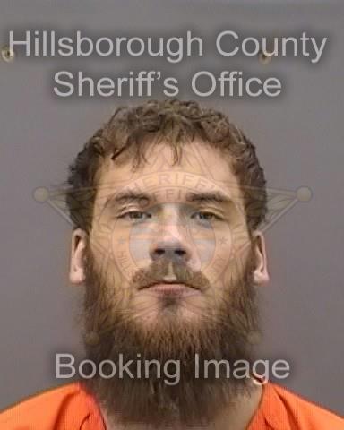 JOEL DAVID STEERE Records As Released In And Around Tampa Florida